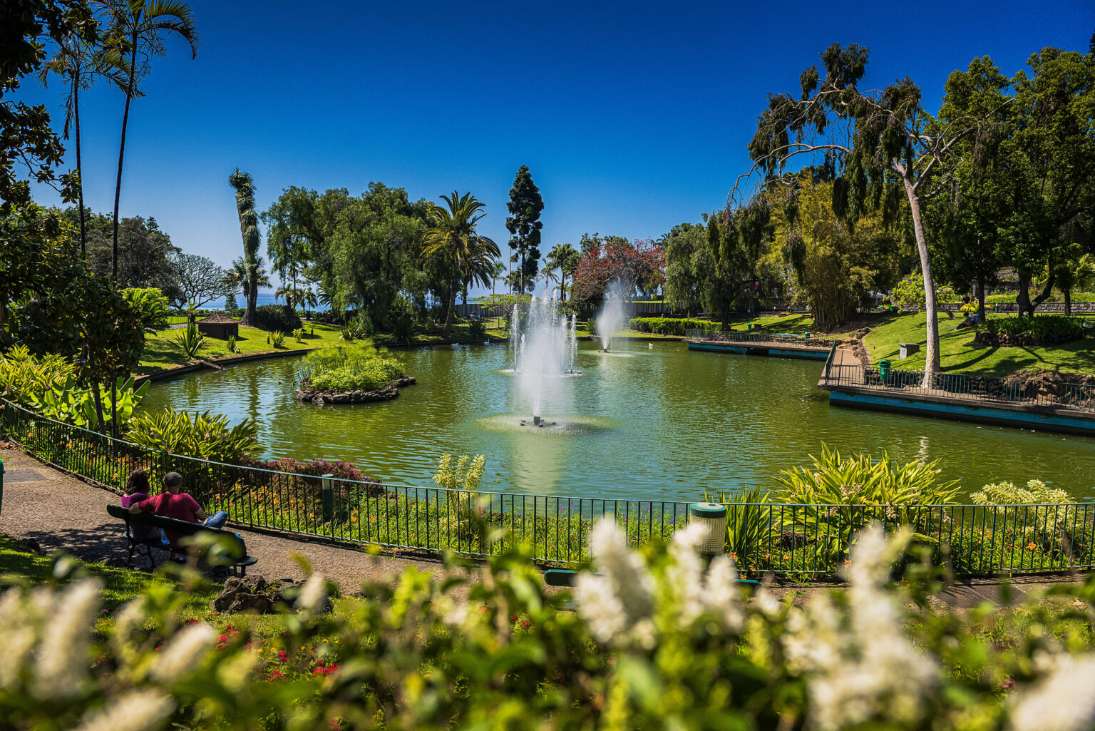 A Ilha da Madeira é um Jardim | Os 10 Jardins Mais Deslumbrantes a ...